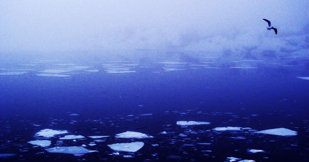 Produkter | Buskerud Kulde